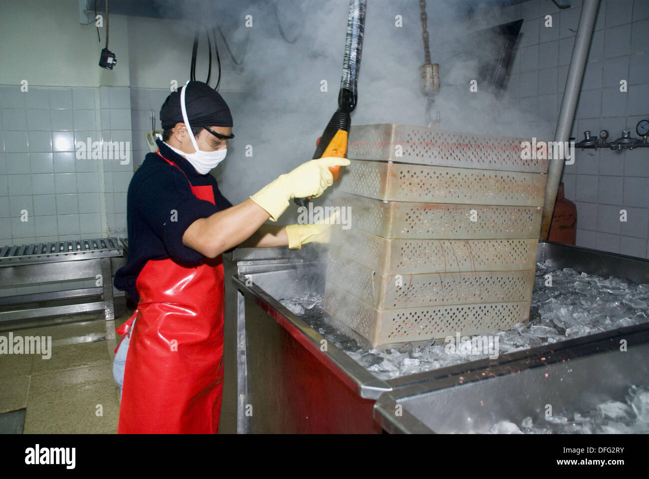 Guayaquil Ecuador Shrimp High Resolution Stock Photography and Images ...