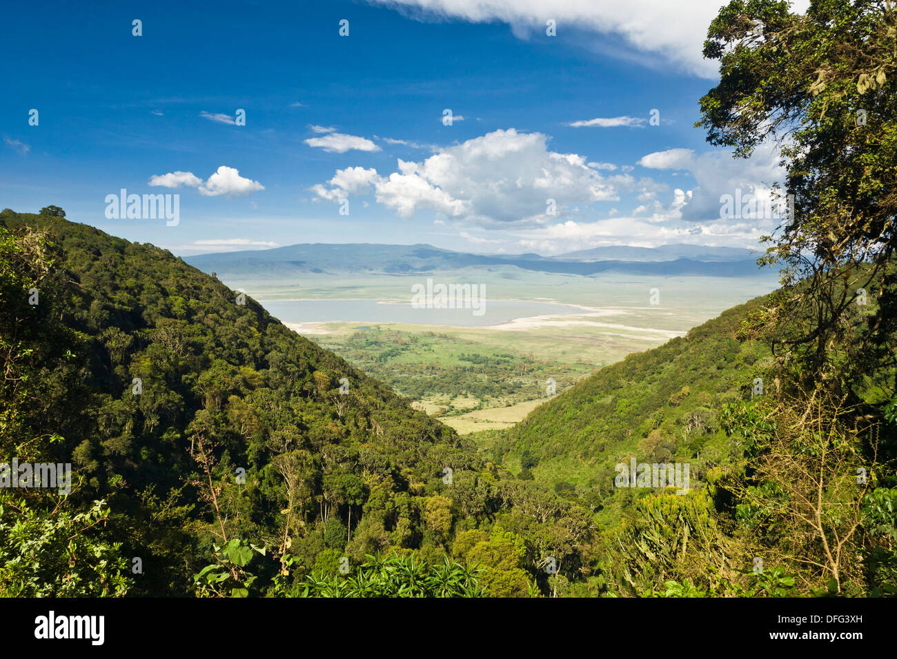 Aerial view ngorongoro crater tanzania hi-res stock photography and ...
