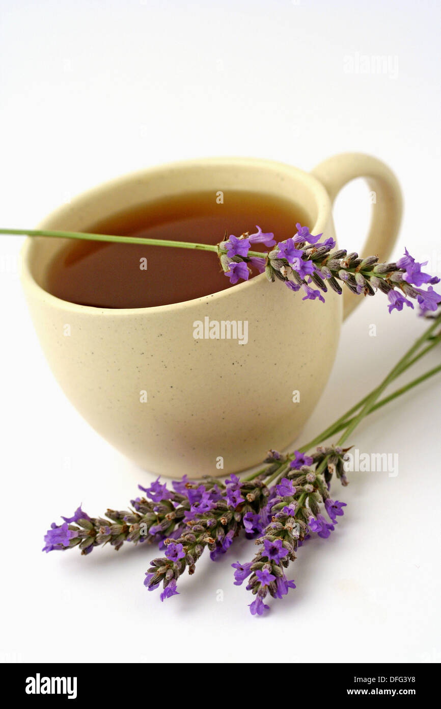 Lavender Tea (Lavanda officinalis Stock Photo - Alamy