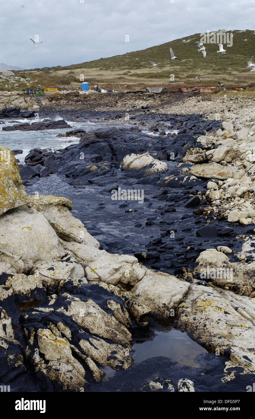 Chapapote High Resolution Stock Photography and Images - Alamy