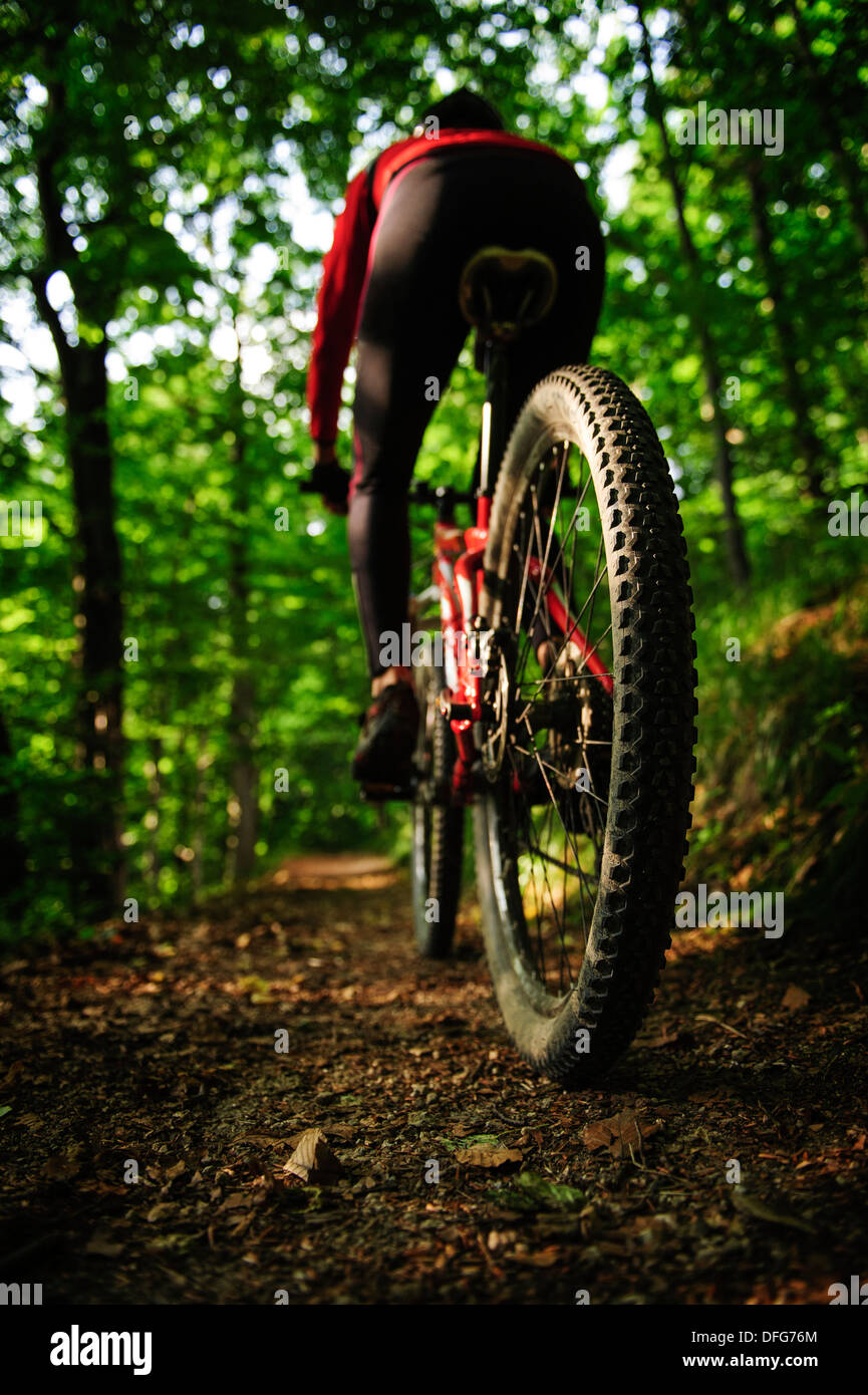 Woman riding bike back view hi-res stock photography and images - Alamy