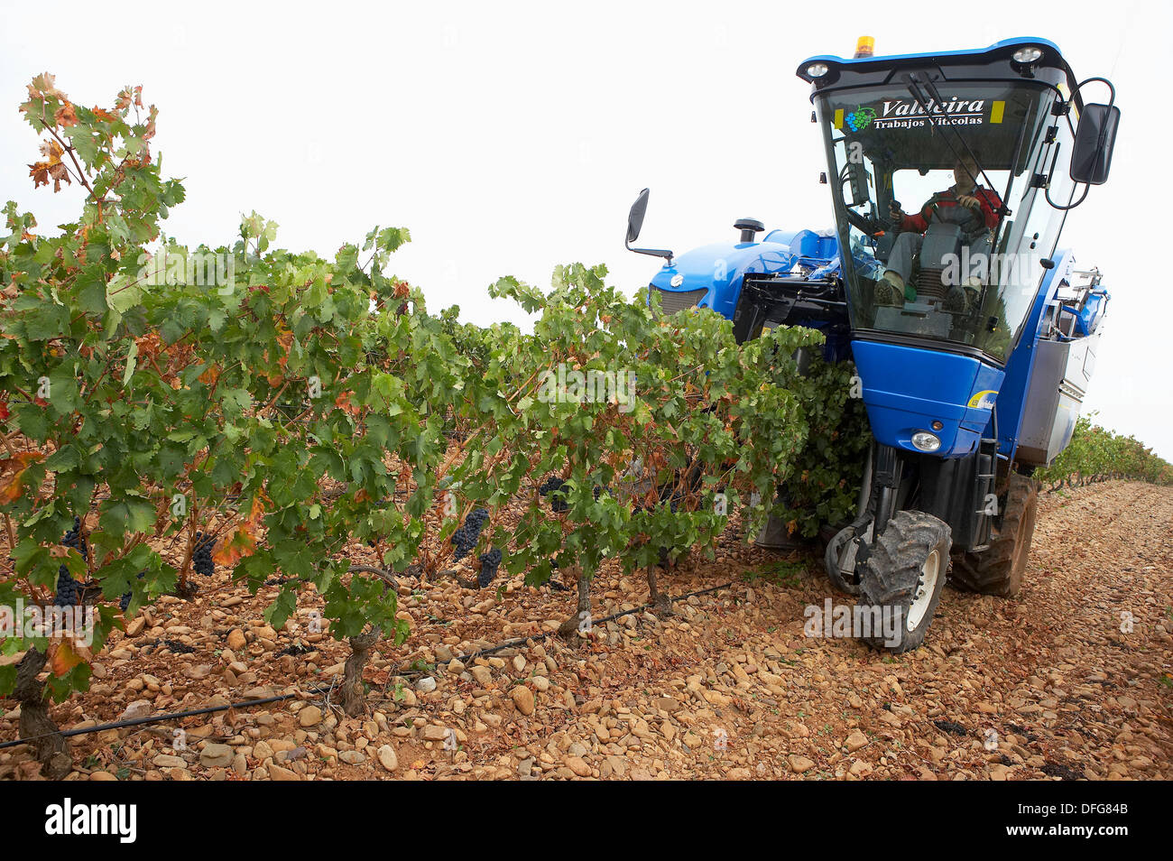 Vintage combine harvester hi-res stock photography and images - Alamy