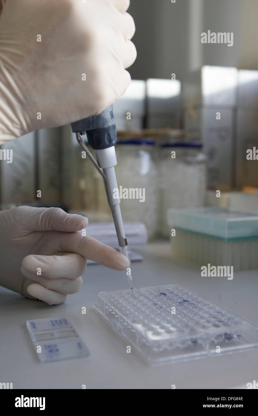 Micropipettes High Resolution Stock Photography and Images - Alamy