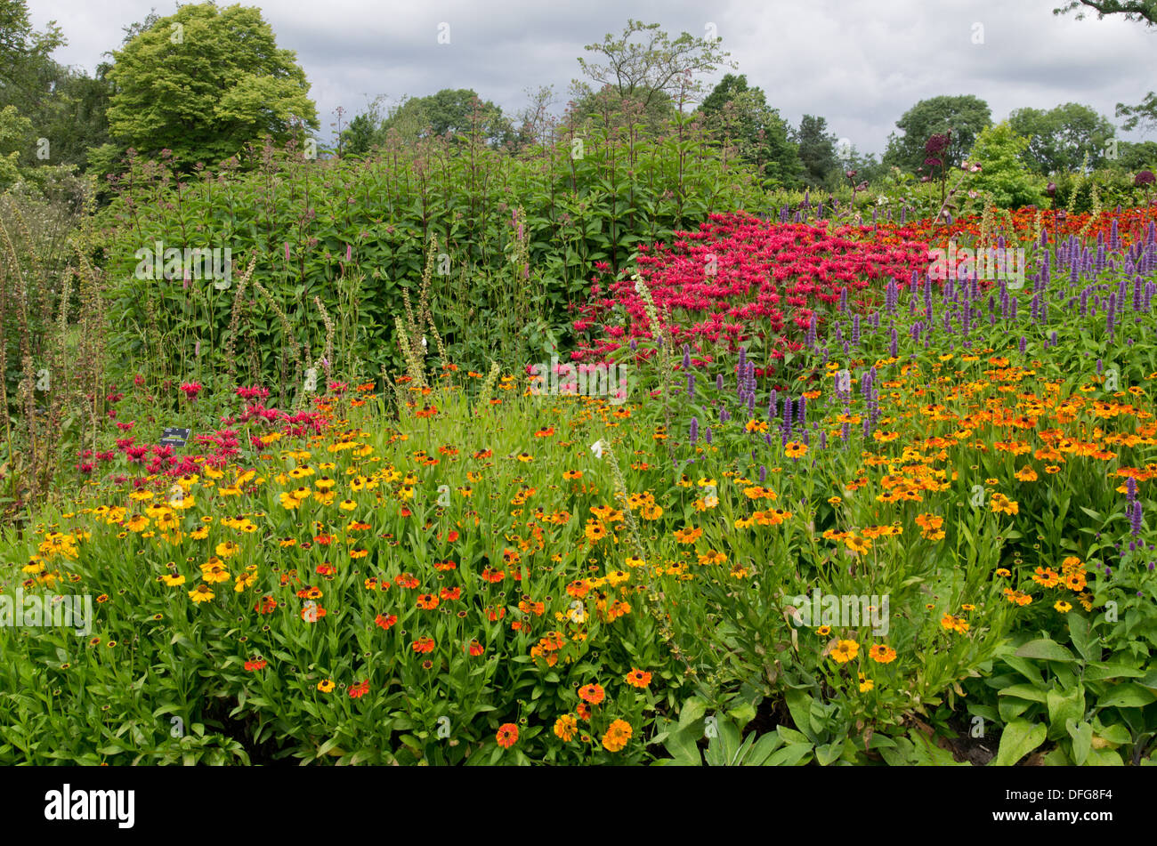 Joe rye hi-res stock photography and images - Alamy