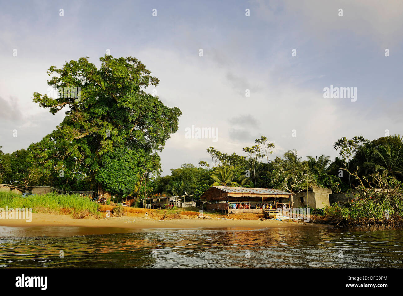 Lobe cameroon hi-res stock photography and images - Alamy