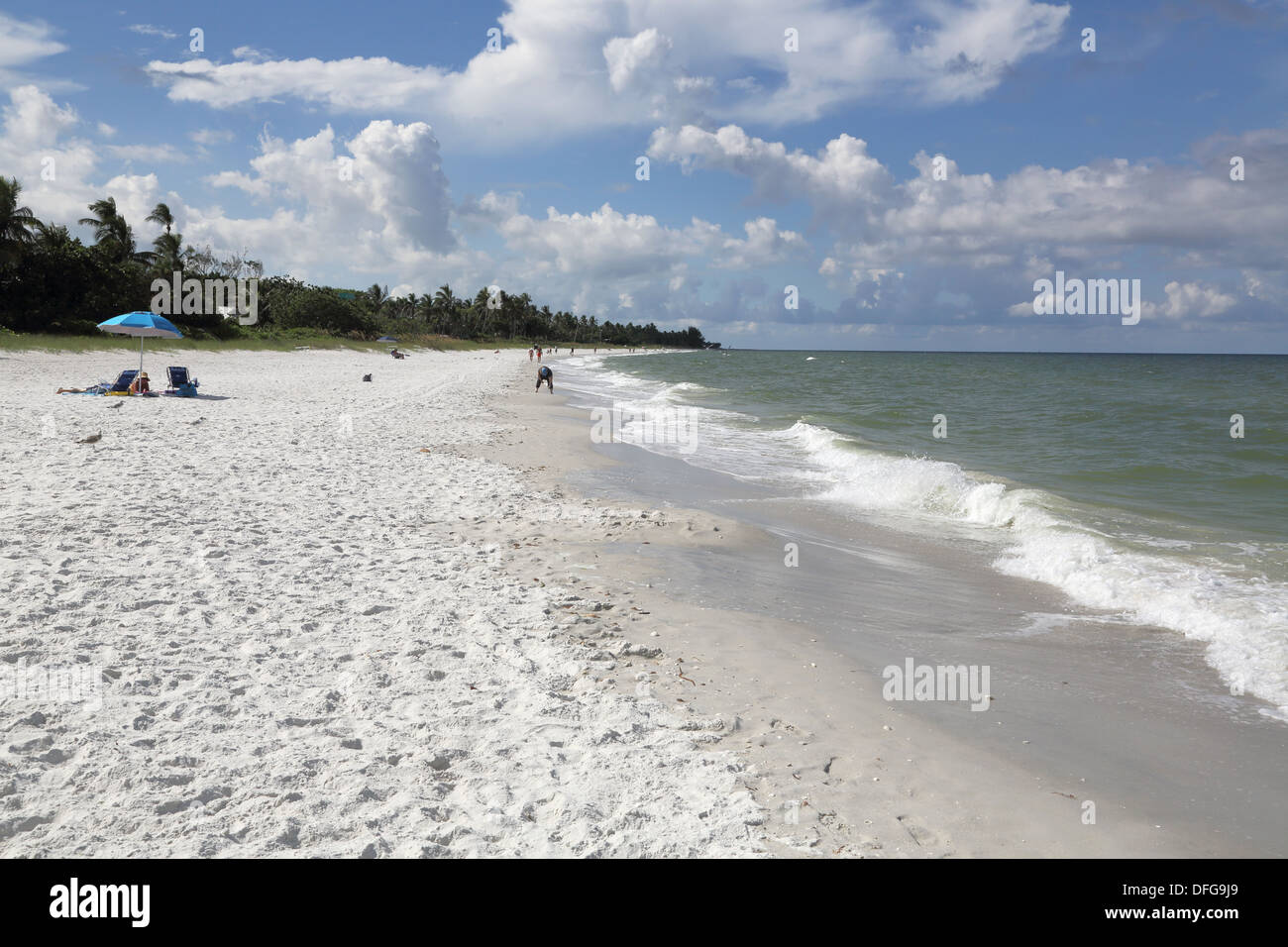 naples beach on the florida coast Stock Photo - Alamy