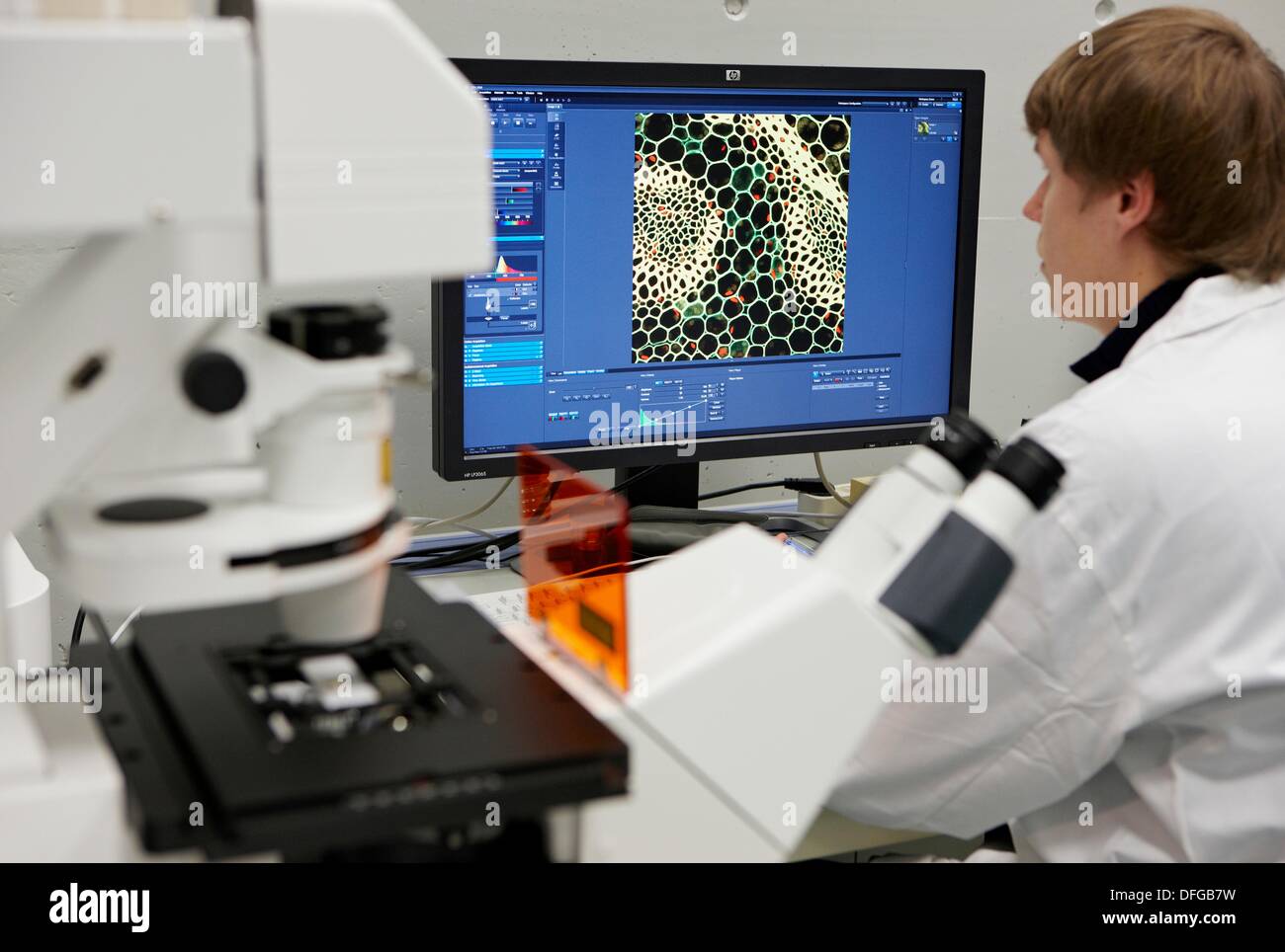 Fluorescent Labelled High Resolution Stock Photography and Images - Alamy