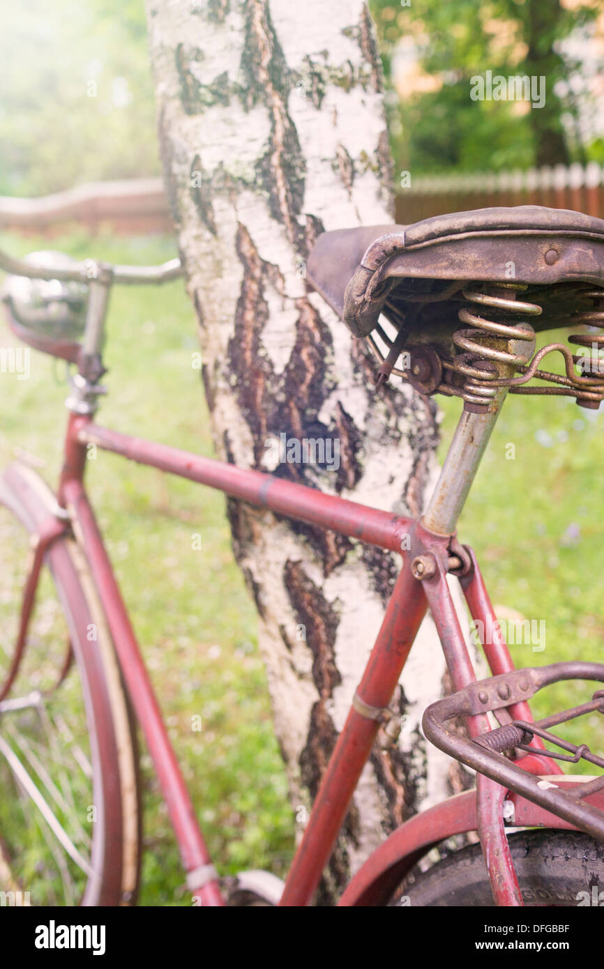 Rural scene with old retro bike by a birch tree, Sweden Stock Photo - Alamy