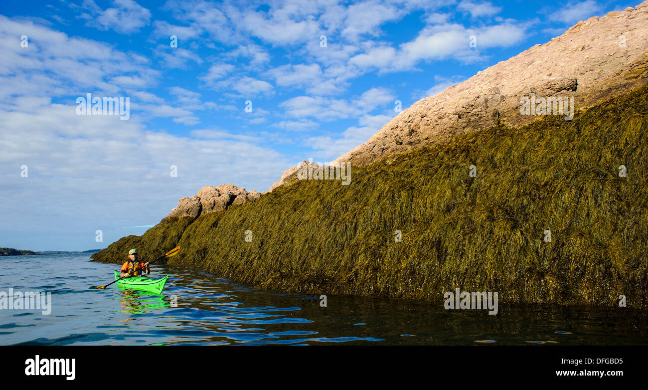 Kayaking Bay of Fundy Stock Photo - Alamy