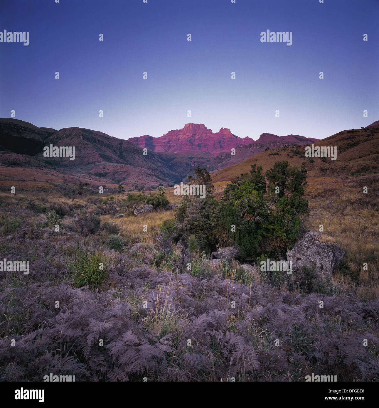 Cathkin Peak, Champagne Castle, Drakensberg Stock Photo - Alamy