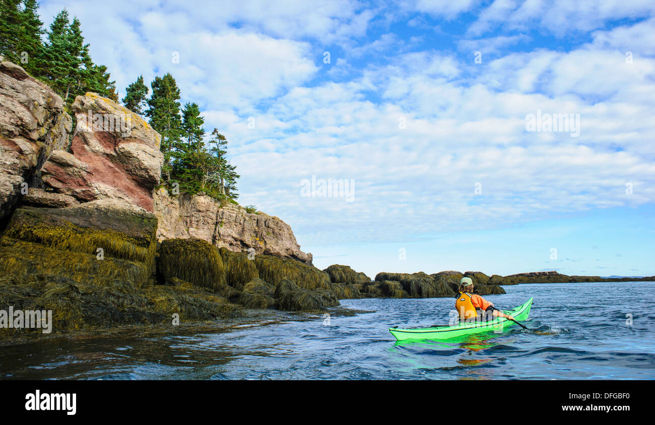 Kayaking Bay of Fundy Stock Photo - Alamy