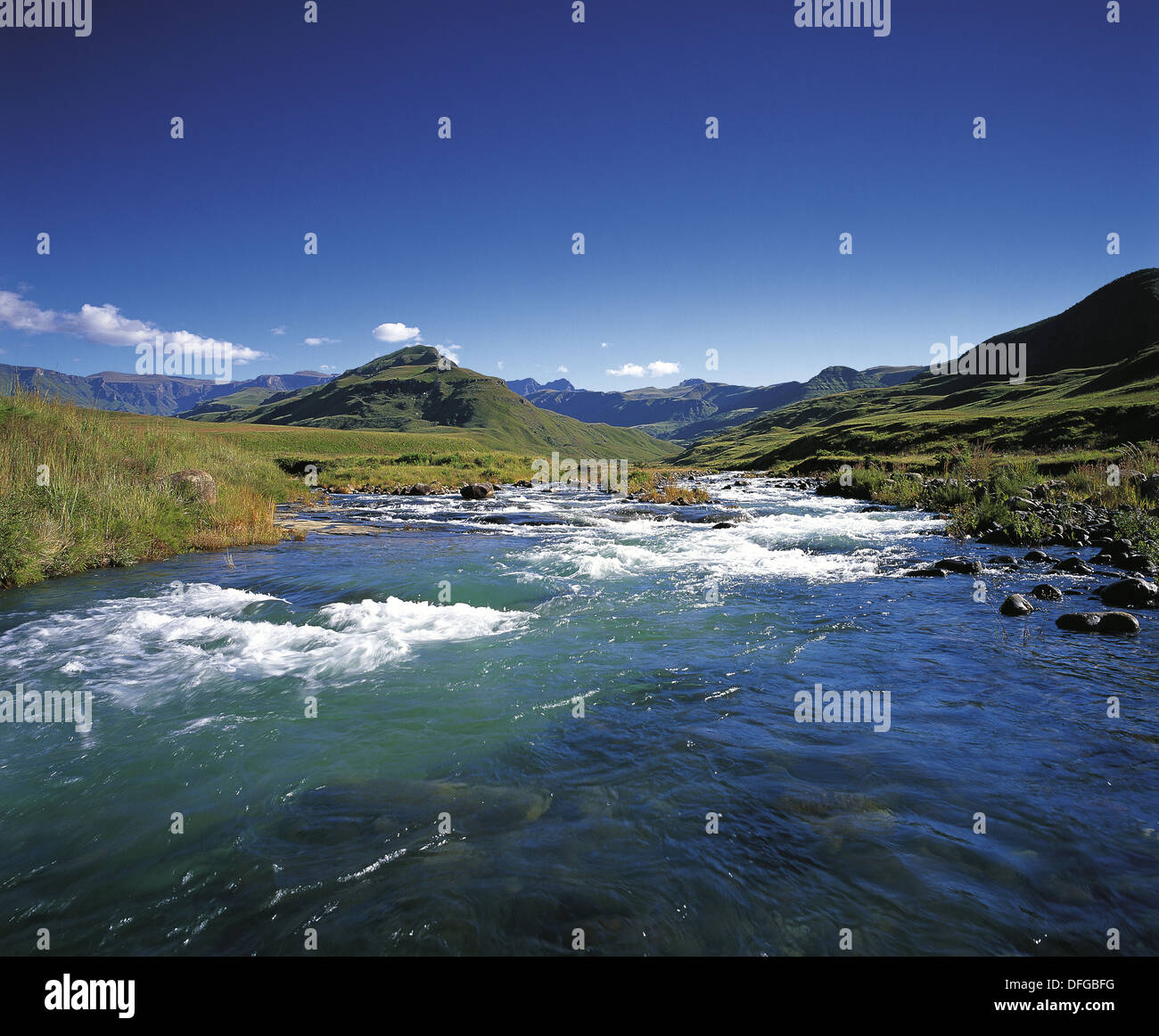 Lotheni hi-res stock photography and images - Alamy
