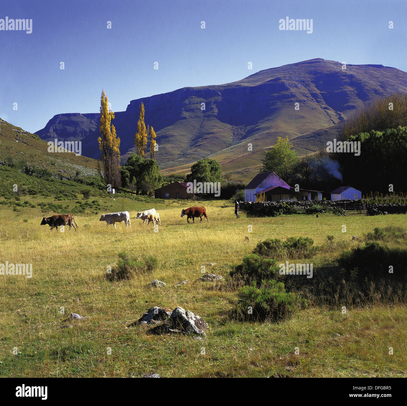 The eastern Cape farmlands gently unfold at the foothills of the ...