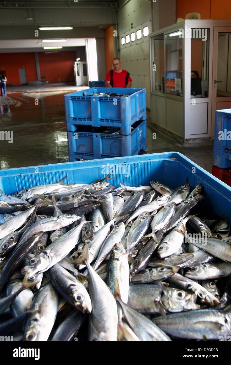 Santona fish market hi-res stock photography and images - Alamy