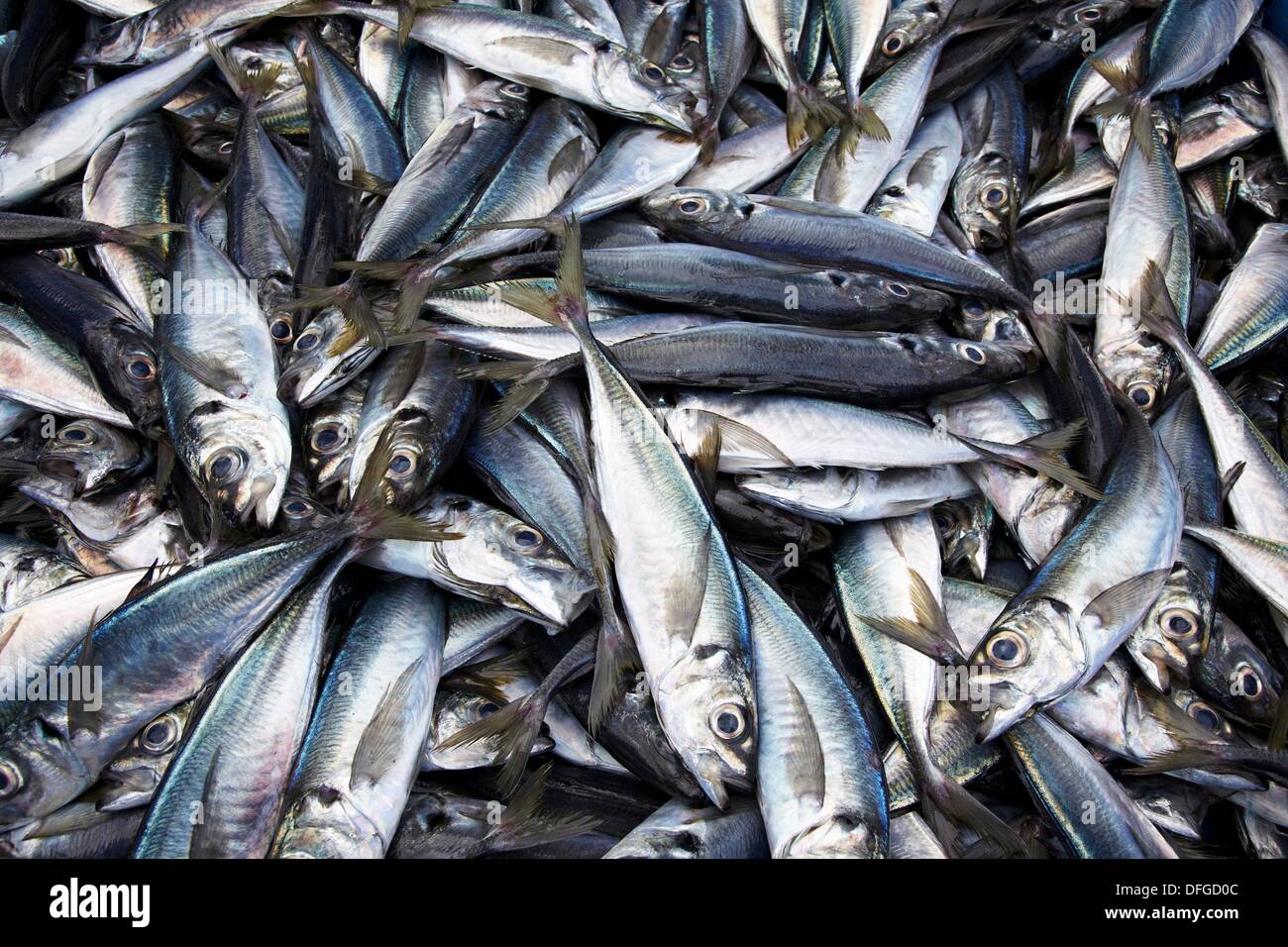 Santona fish market hi-res stock photography and images - Alamy