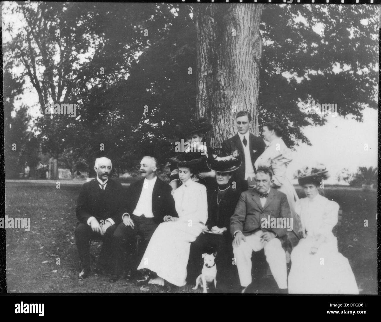 Eleanor Roosevelts Family Tree