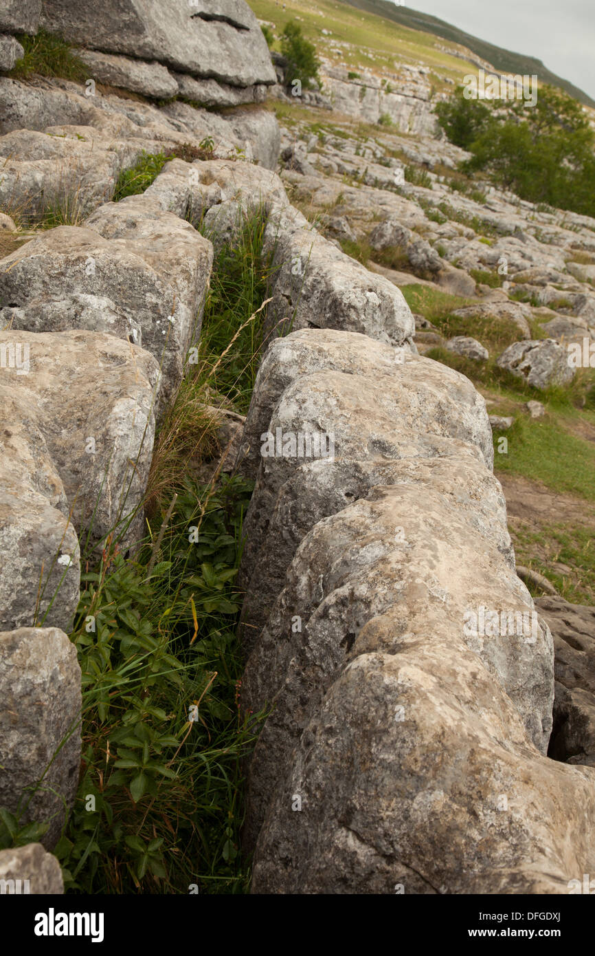 Limestone pavement Malham Cove Yorkshire Stock Photo - Alamy