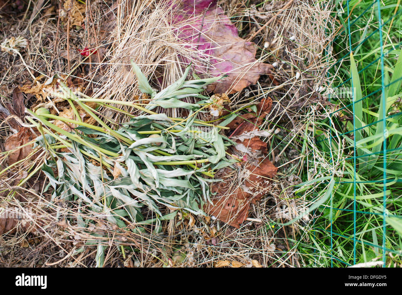 High angle view of compost bin filled with biodegradable garden waste ...