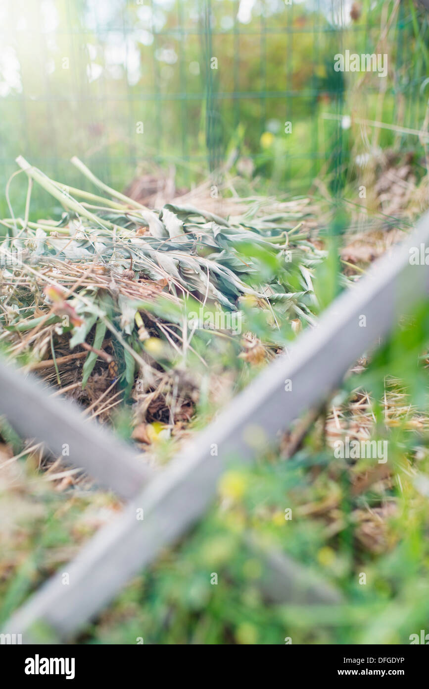 Compost piles bin hi-res stock photography and images - Alamy