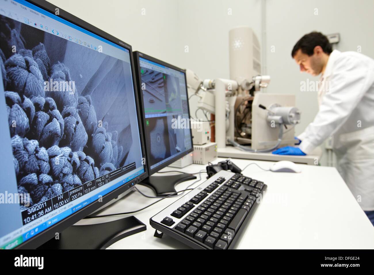Environmental Scanning Electron Microscope High Resolution Stock ...