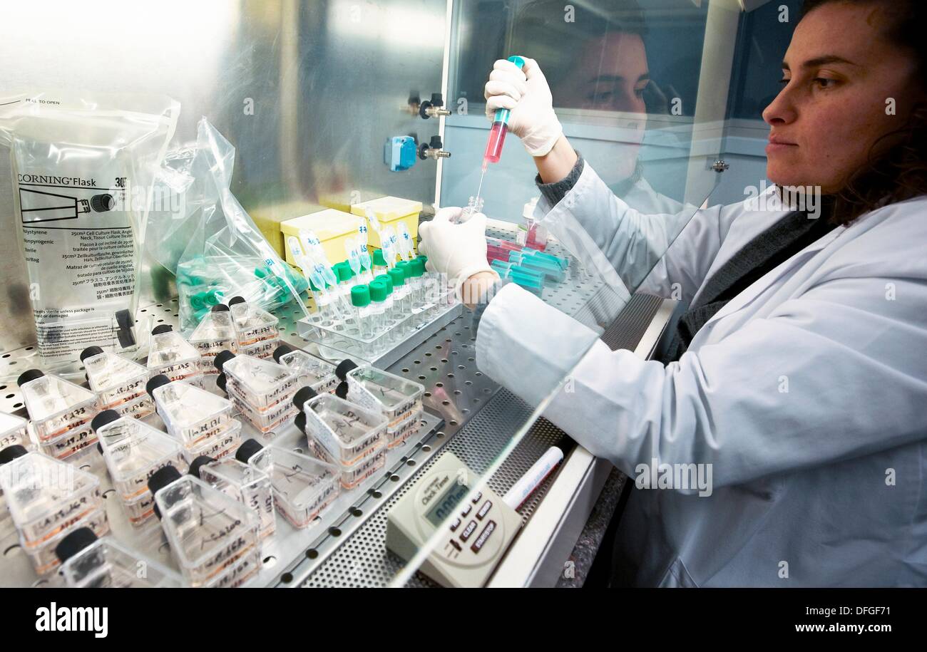 Cytogenetics hi-res stock photography and images - Alamy