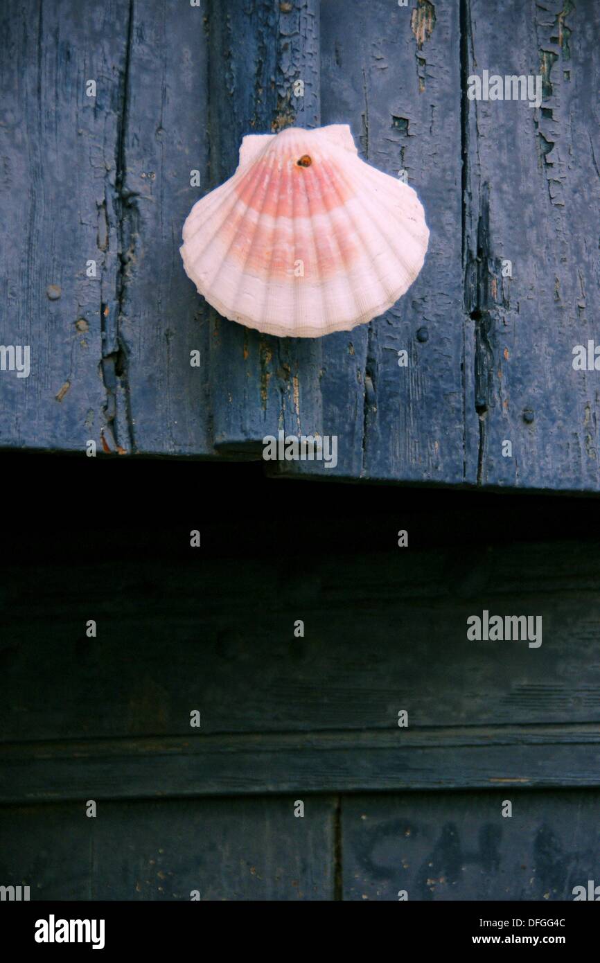 Shell of church hi-res stock photography and images - Alamy