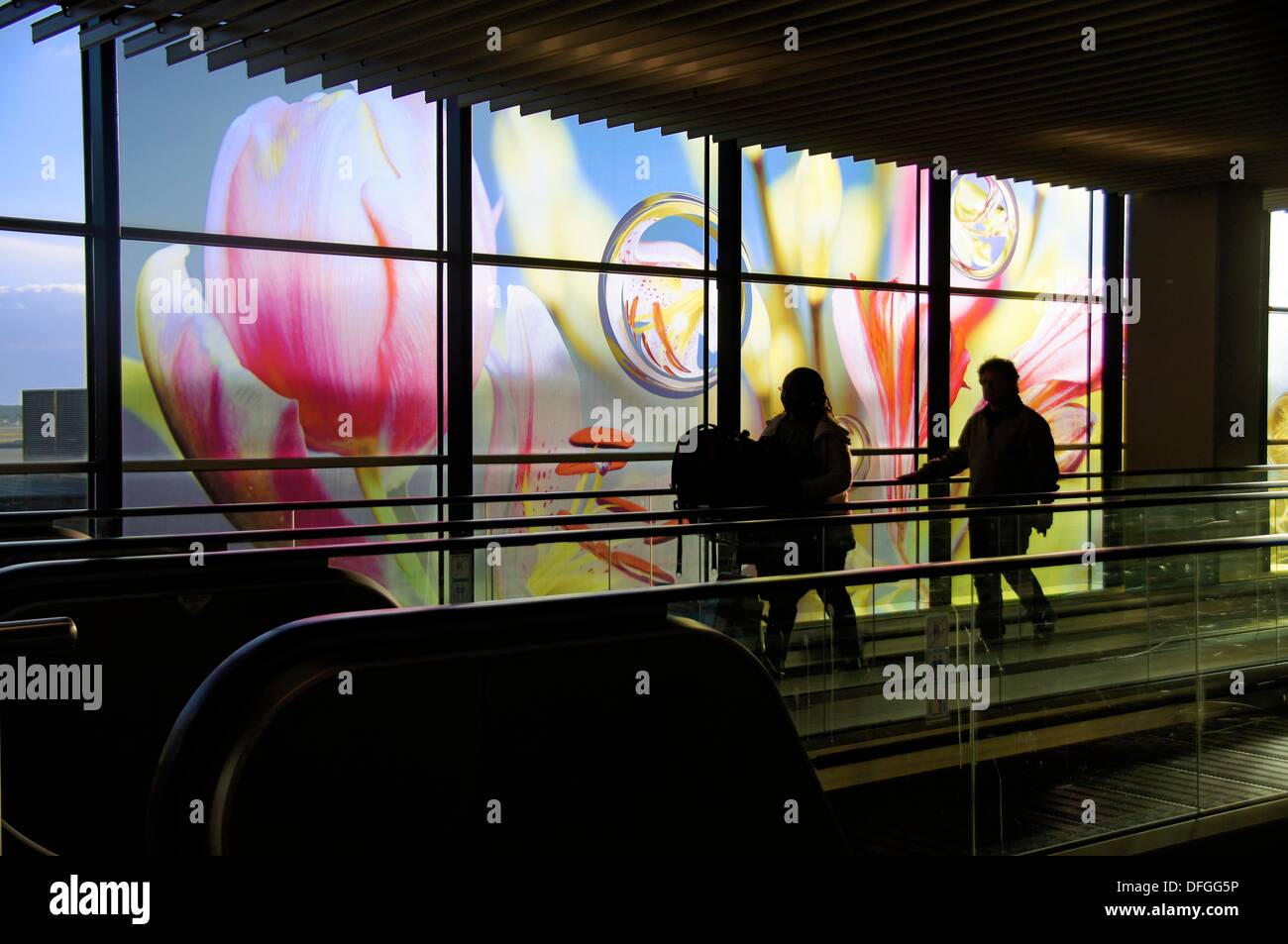 Amsterdam Schiphol International Airport, Netherlands Stock Photo - Alamy