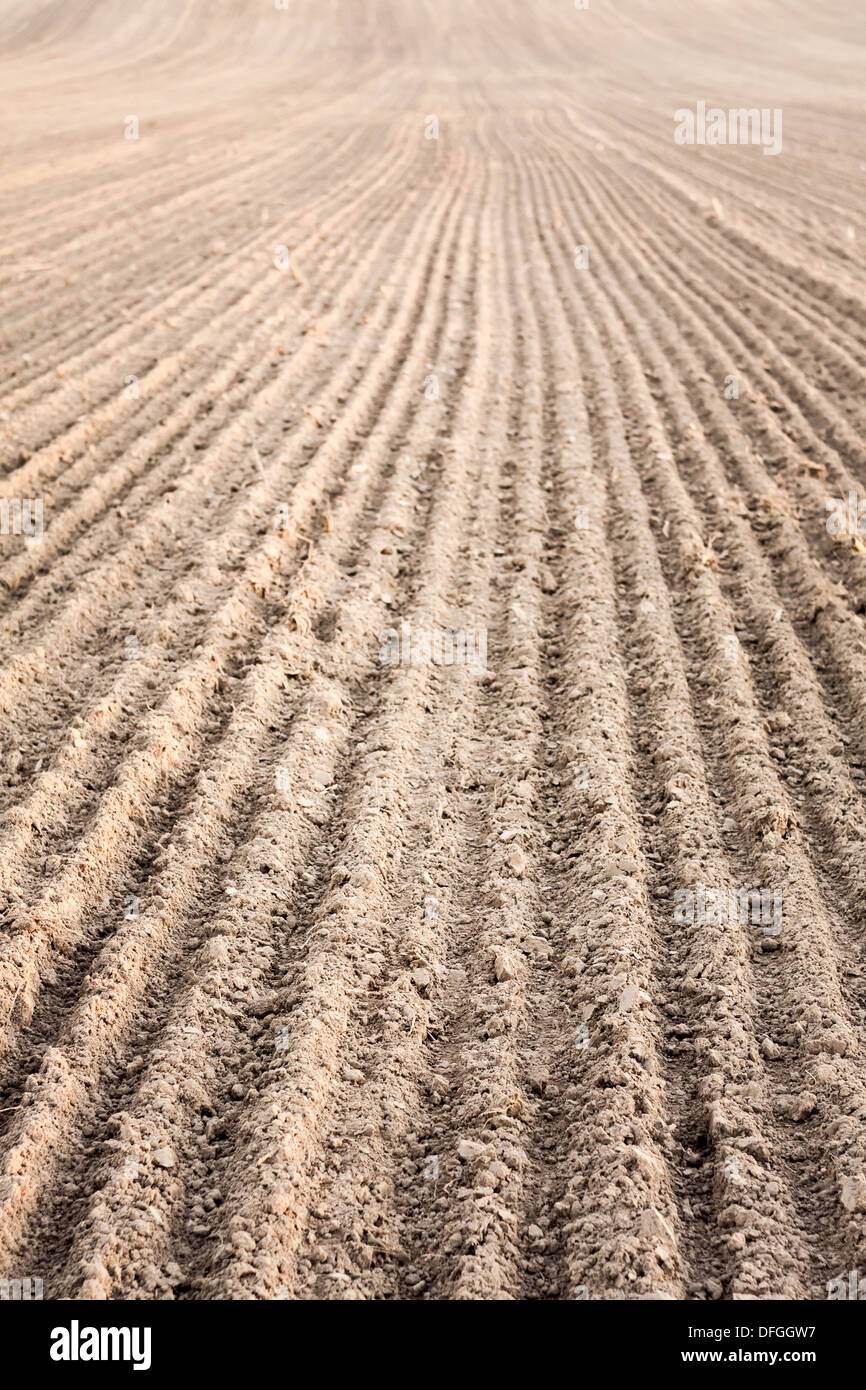 Background of newly plowed field ready for new crops. Ploughed field in ...