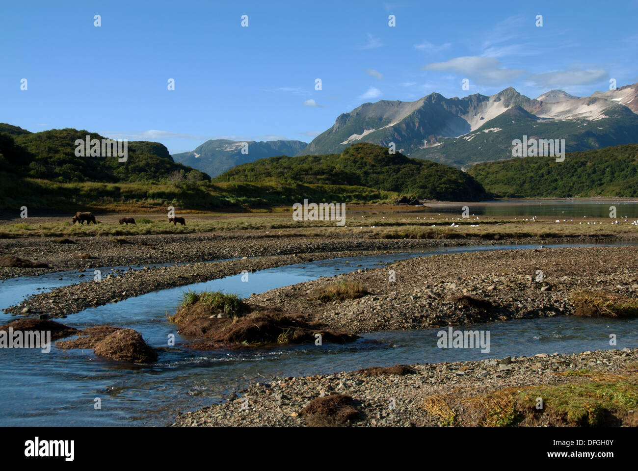 Katmai hi-res stock photography and images - Alamy
