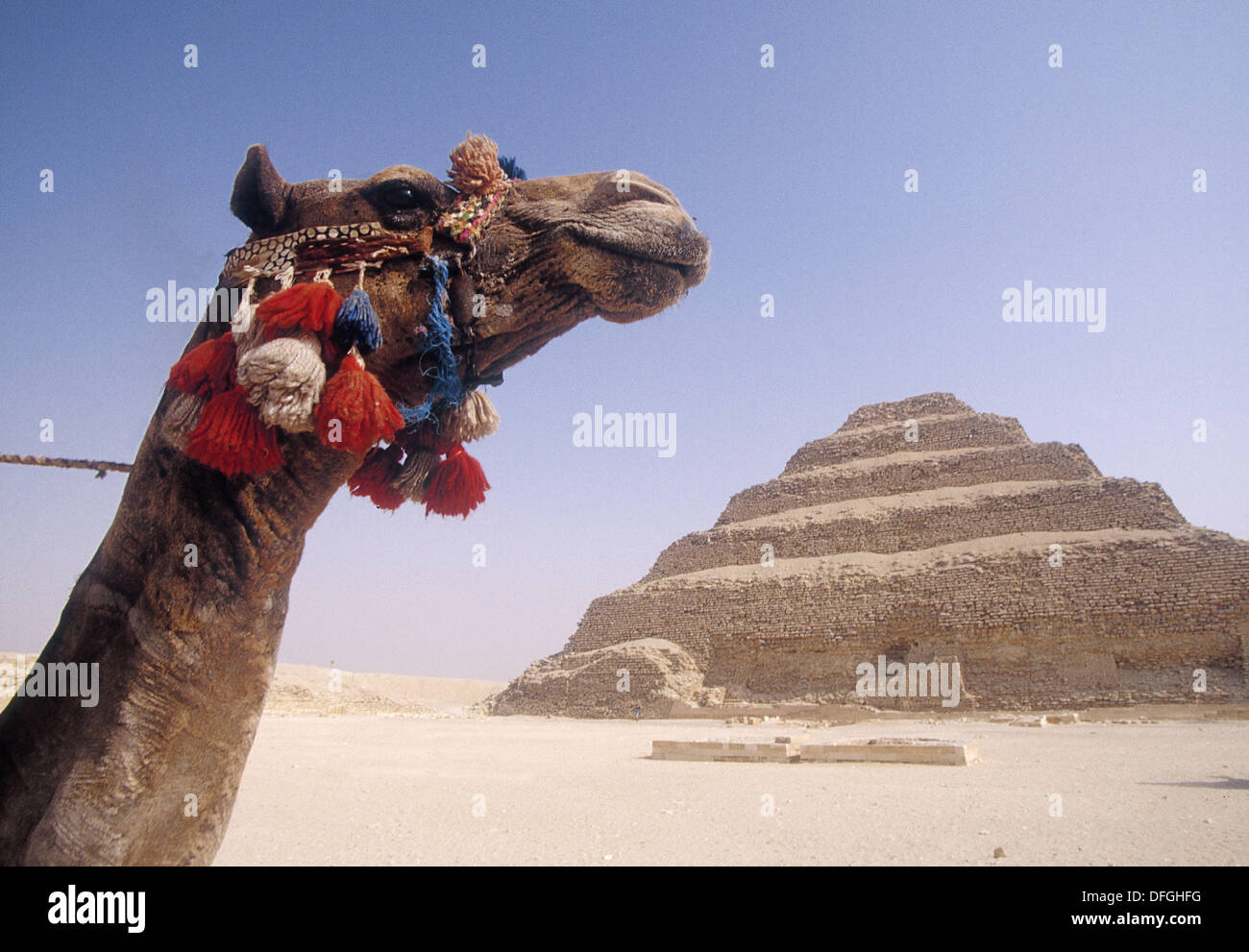 The pyramid of djoser hi-res stock photography and images - Alamy