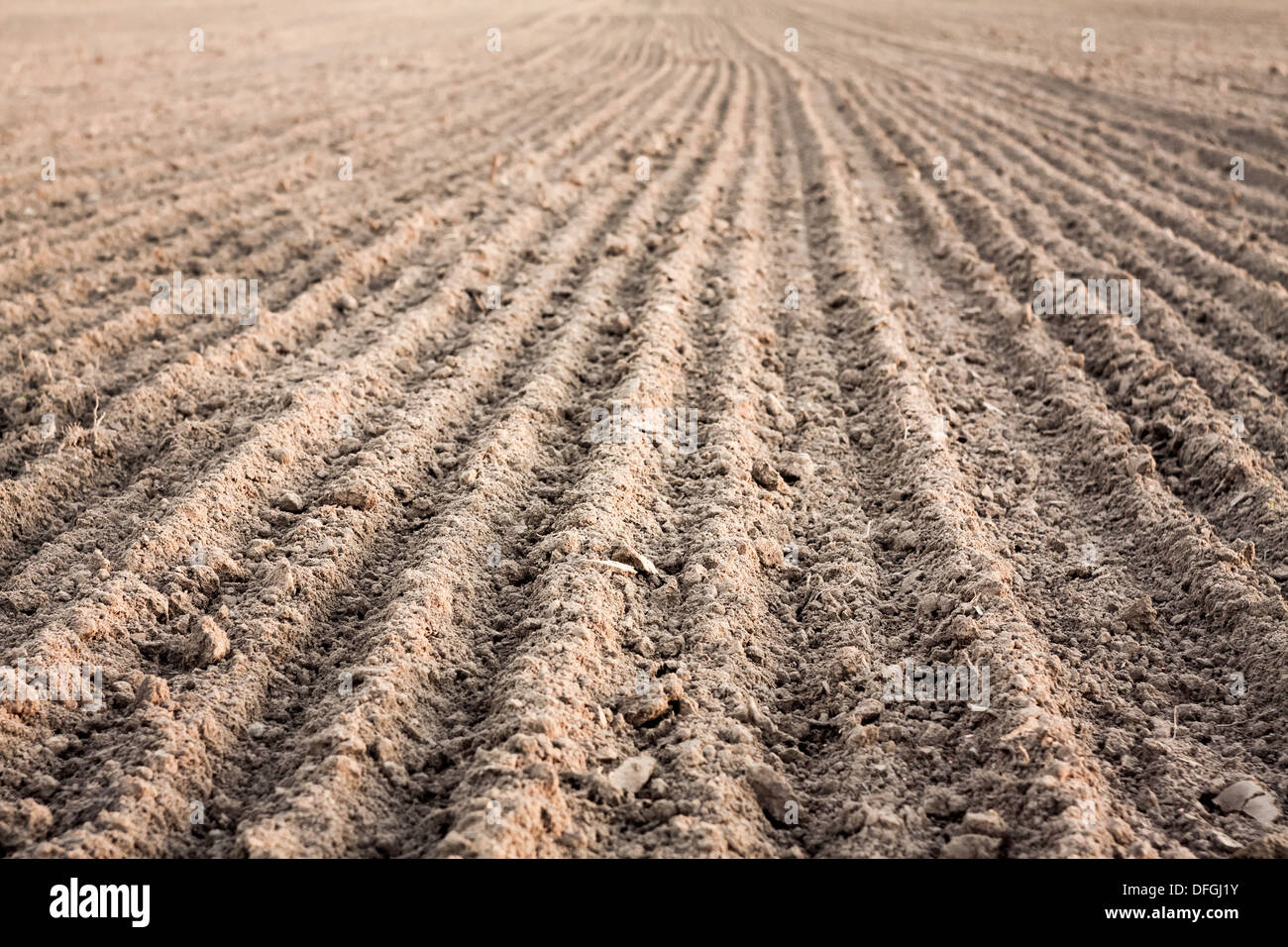 Background of newly plowed field ready for new crops. Ploughed field in ...