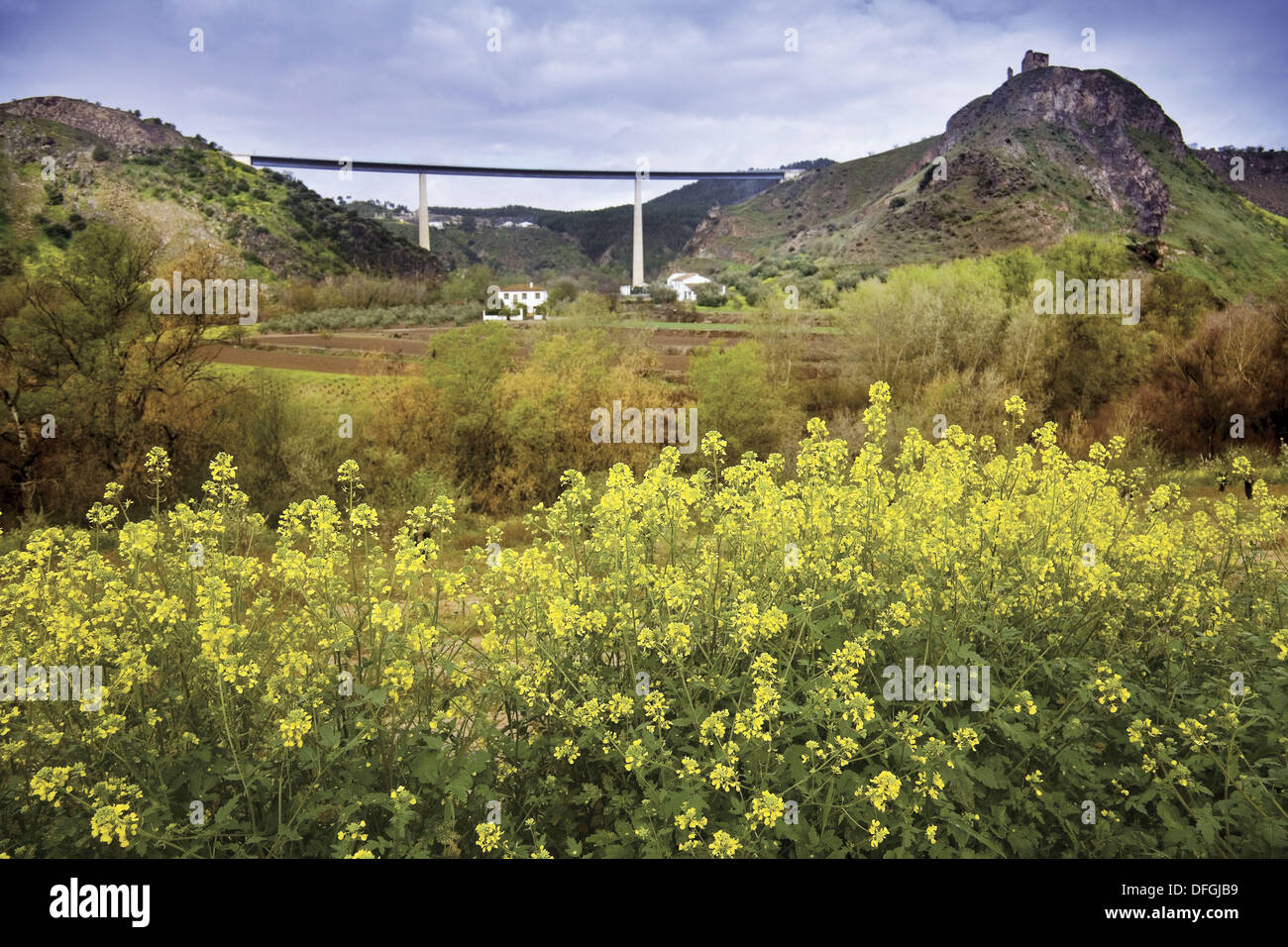 River genil hi-res stock photography and images - Alamy