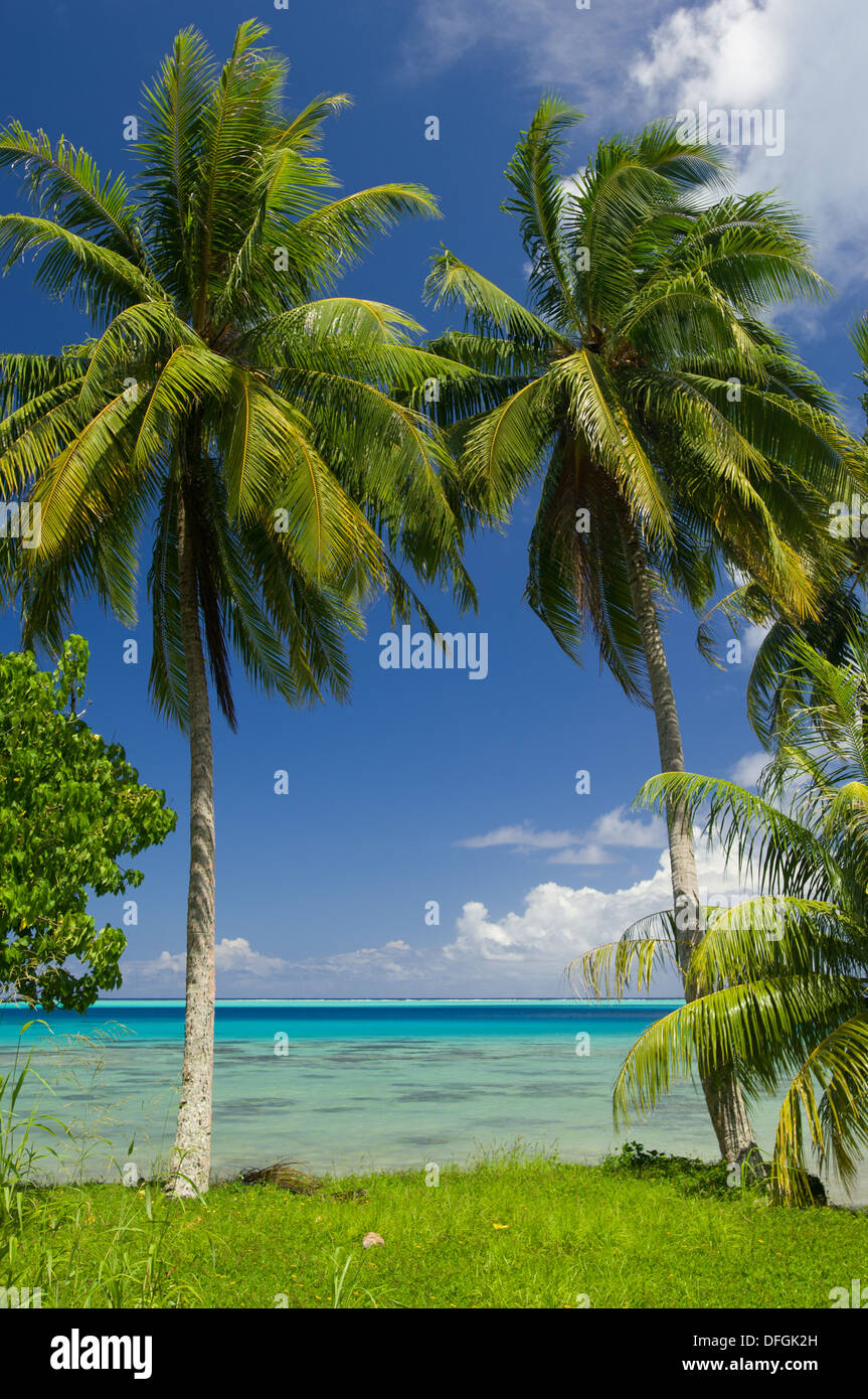 Trees and waters no one trees outdoors beautiful scenery hi-res stock ...