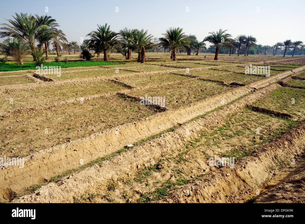 Irrigation in egypt hi-res stock photography and images - Alamy