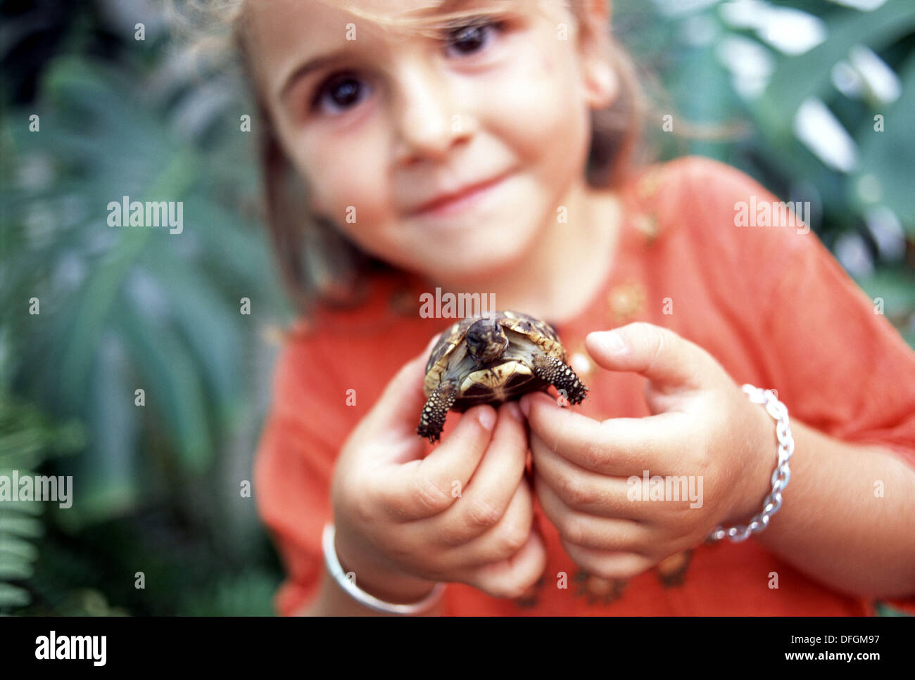 Turtle show image hi-res stock photography and images - Alamy