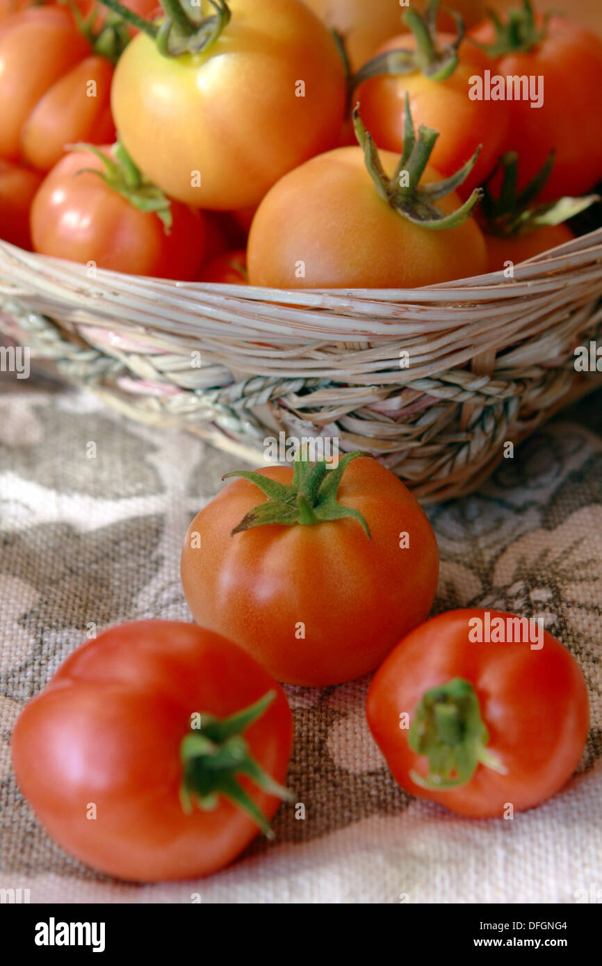 Tomatos basket hi-res stock photography and images - Alamy