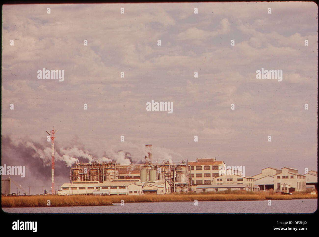 Grand ecaille hi-res stock photography and images - Alamy