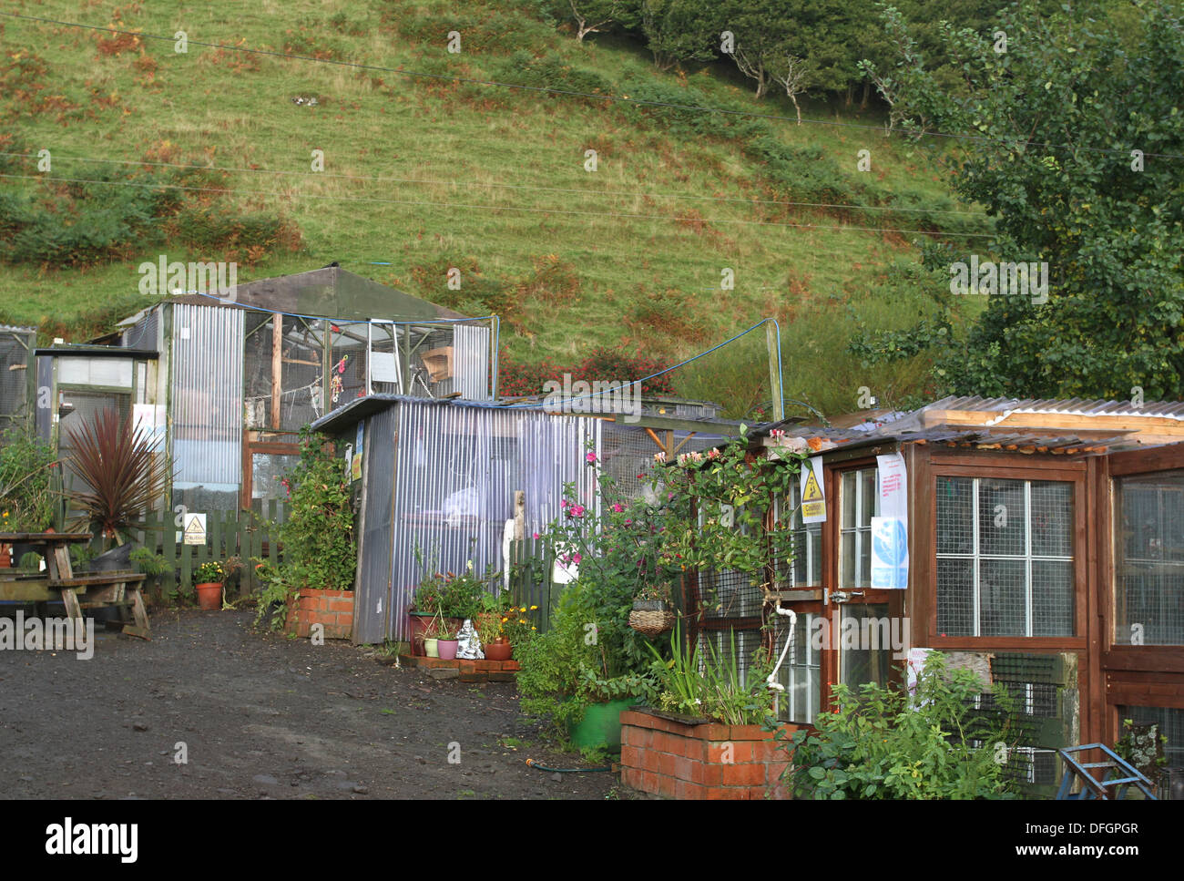 Scottish bird sanctuary hi-res stock photography and images - Alamy