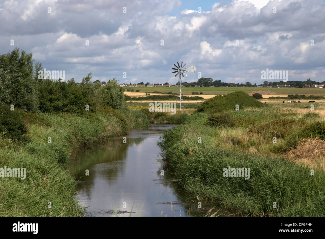 East Anglia landscape with stream, Holland-on-Sea, England Stock Photo ...