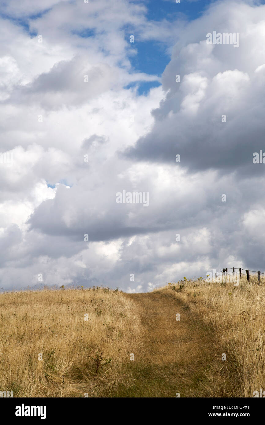 East anglian landscape hi-res stock photography and images - Alamy