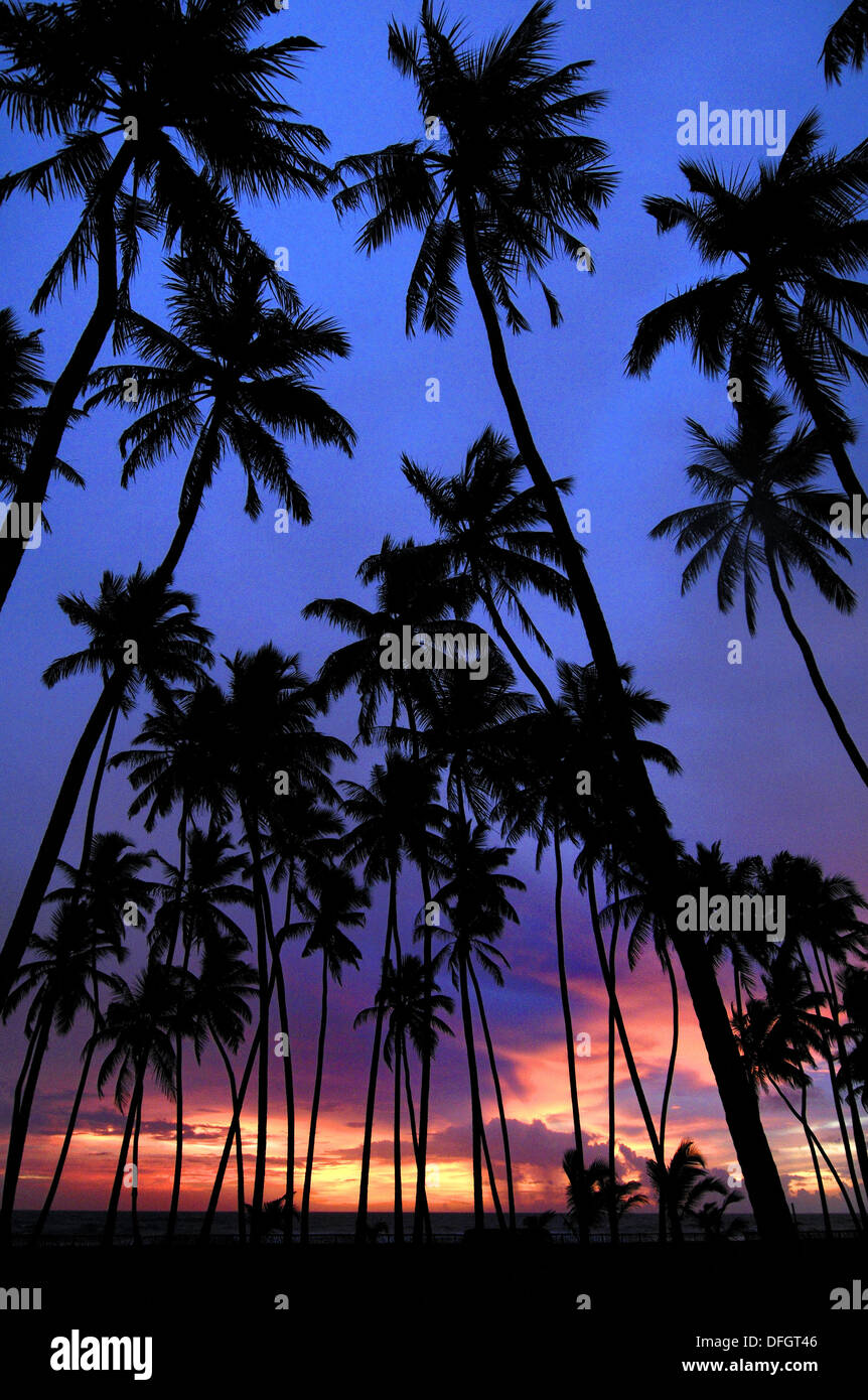 Beach, Wadduwa, Sri Lanka Stock Photo - Alamy