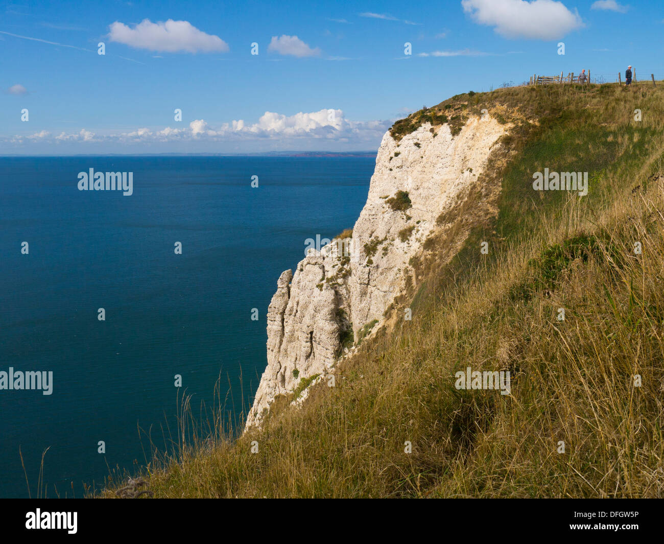 White cliffs at Branscombe coast, Devon, England Stock Photo - Alamy