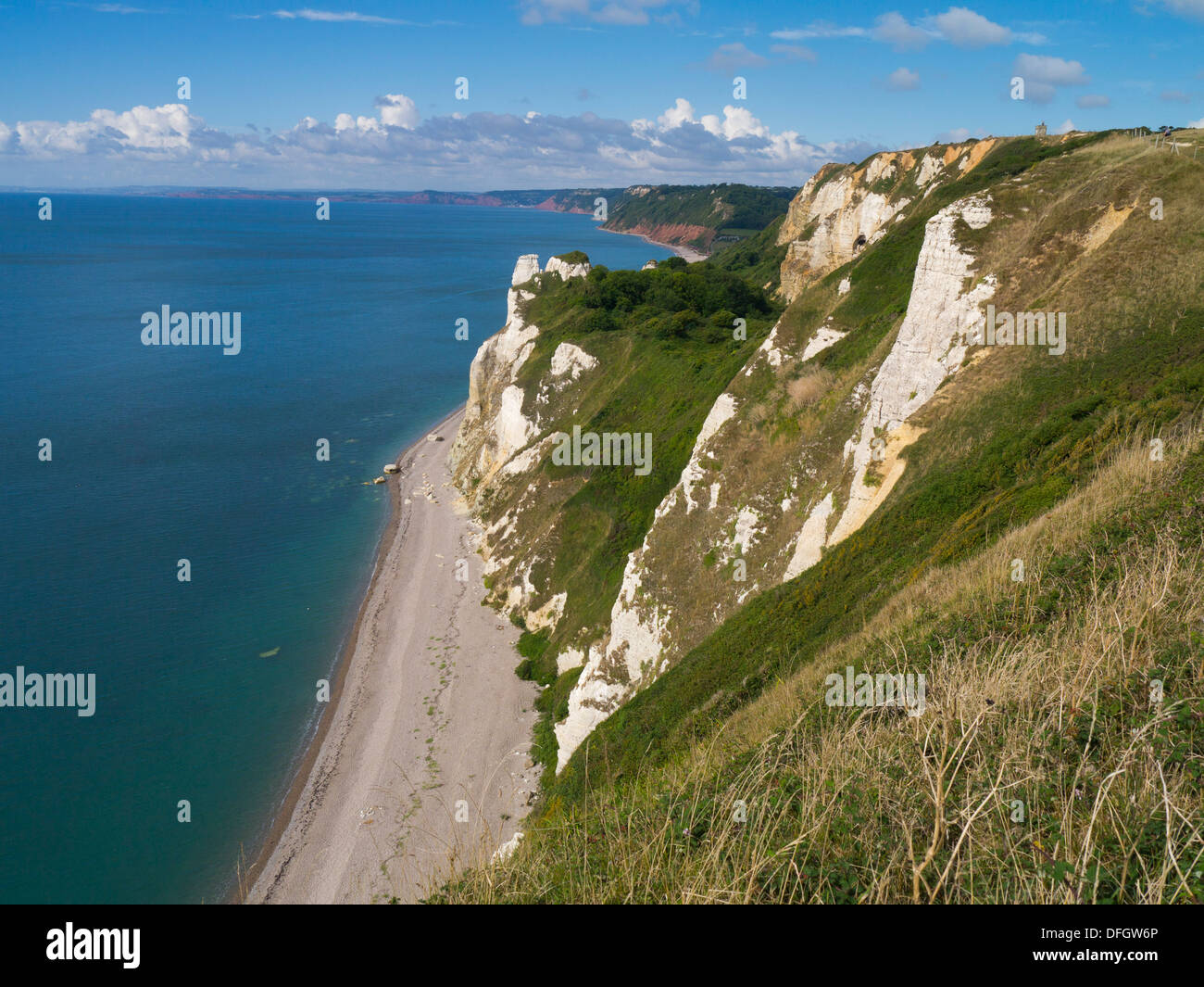 White cliffs at Branscombe coast, Devon, England Stock Photo - Alamy