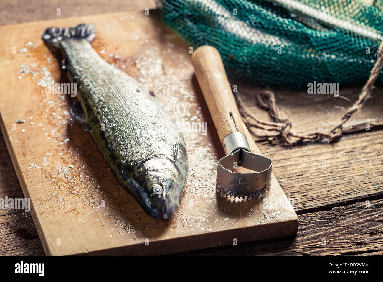 Freshly caught fish for dinner Stock Photo - Alamy