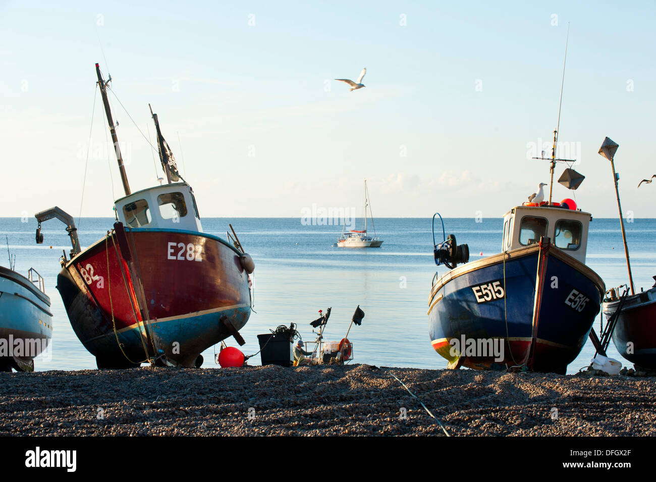 Fishing boats on the beach at Beer Devon England Stock Photo - Alamy