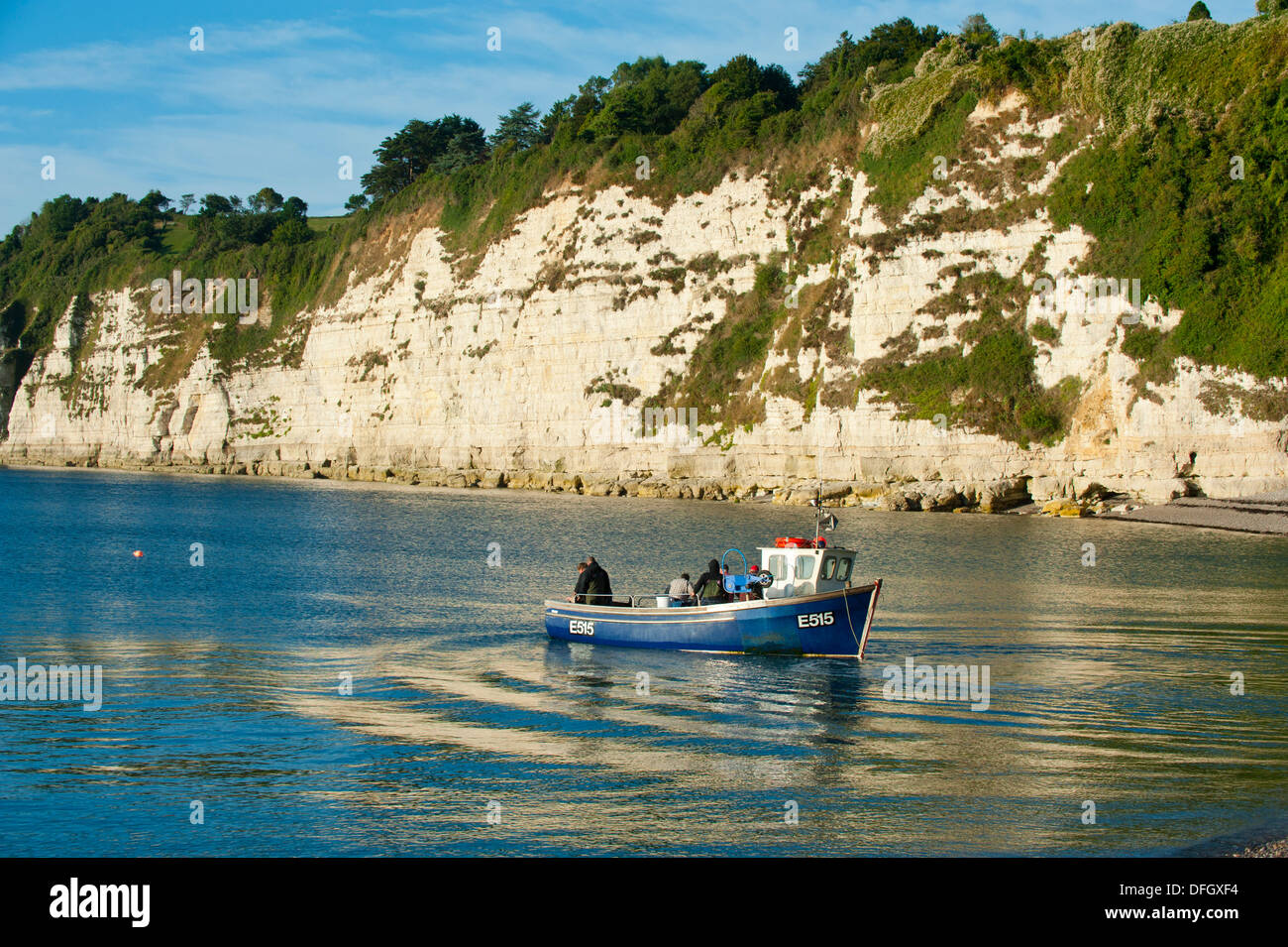 Beer beach devon fish hi-res stock photography and images - Alamy