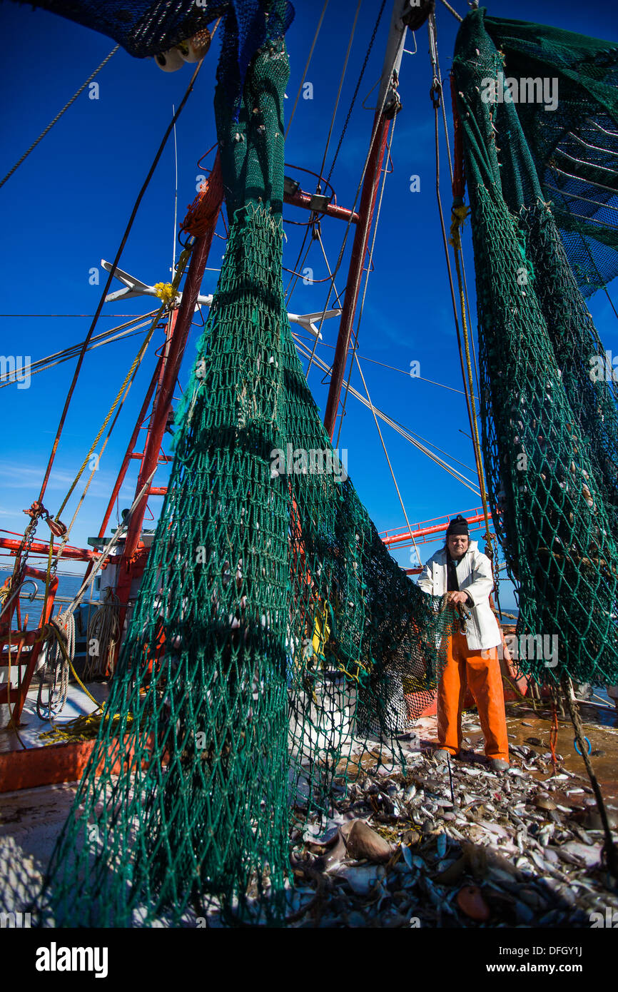 Shrimp boat catch hi-res stock photography and images - Alamy