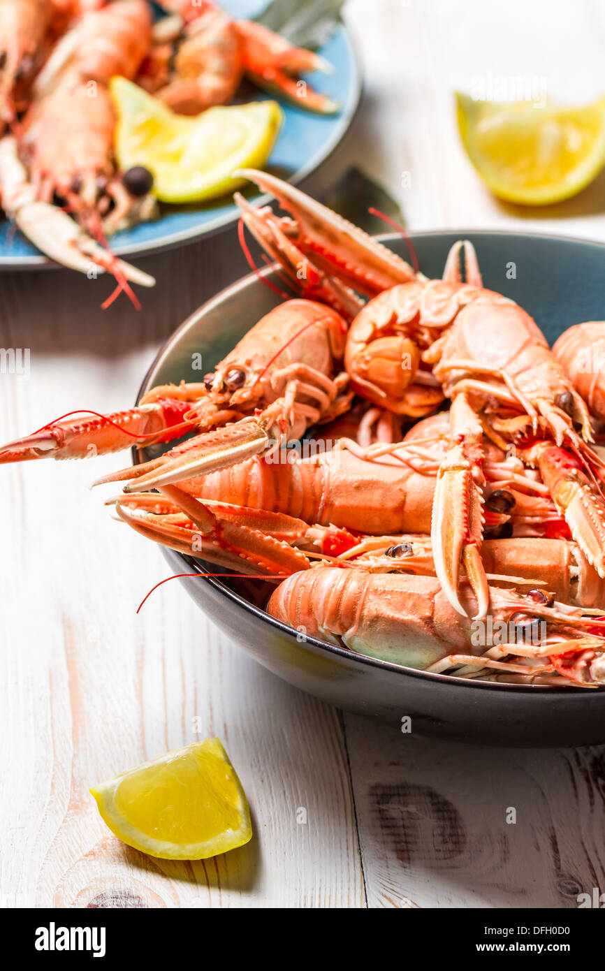 Fish with pincers hi-res stock photography and images - Alamy