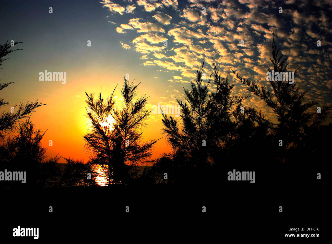 Nature smiles The image shows the real beauty of nature Stock Photo - Alamy