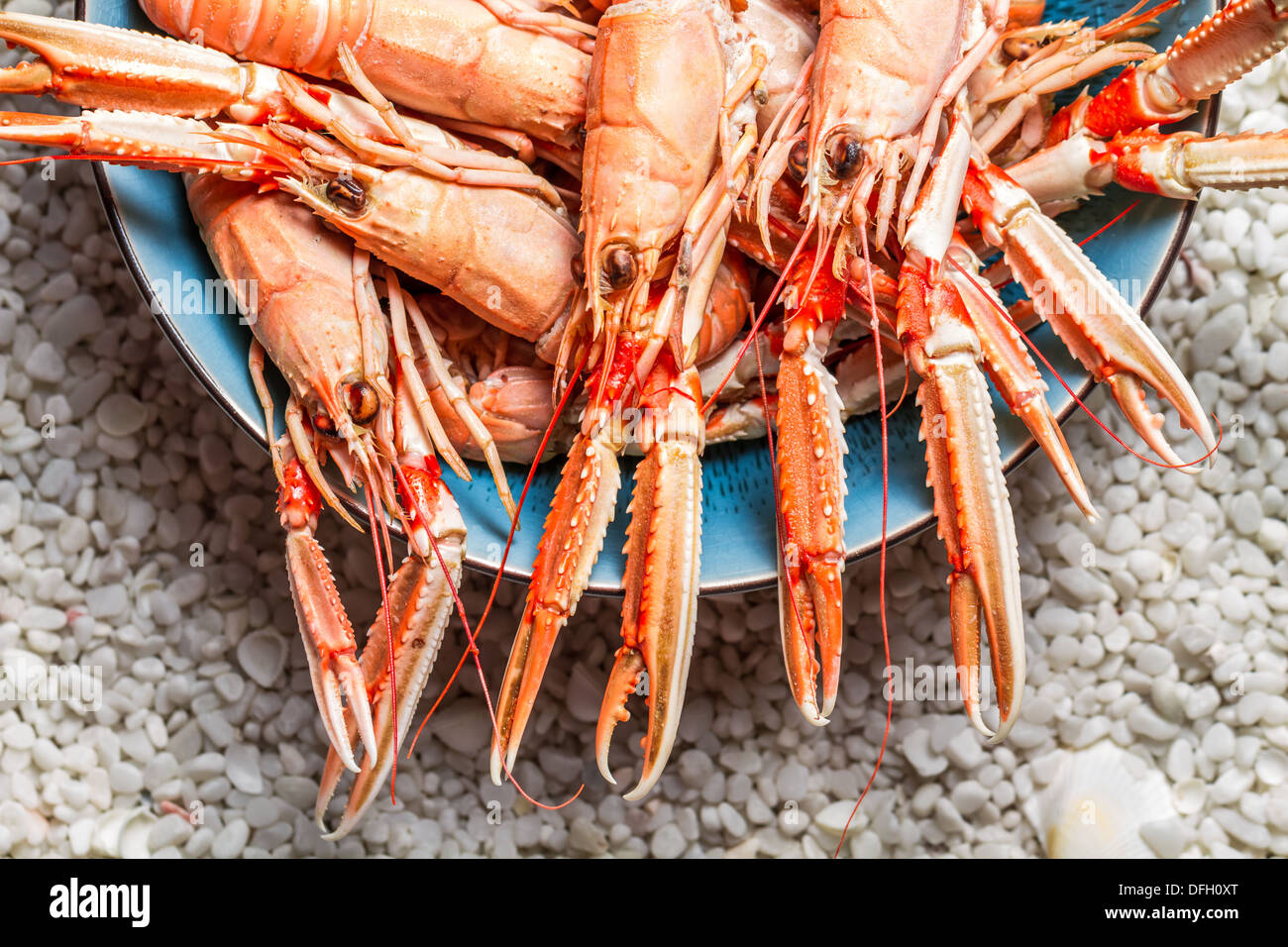 Fresh scampi served on the beach in a blue bowl Stock Photo - Alamy